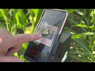 LeafTech (On-Demand Leaf Tissue Analysis) – NewFields Ag